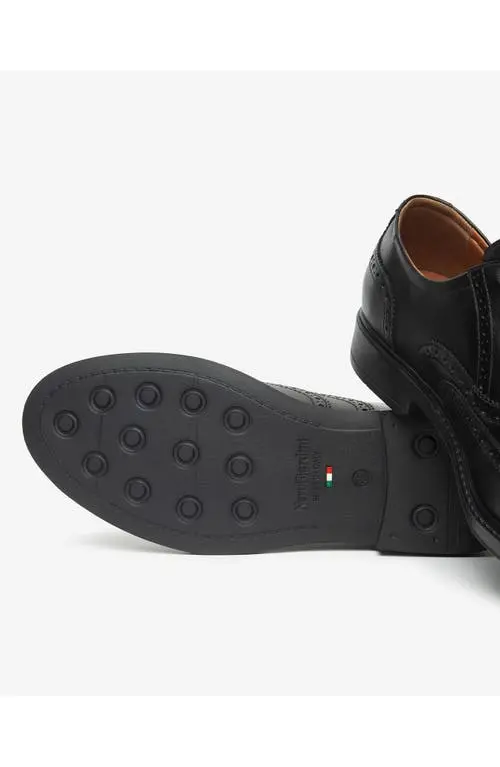 NEROGIARDINI Wingtip Oxford - Black