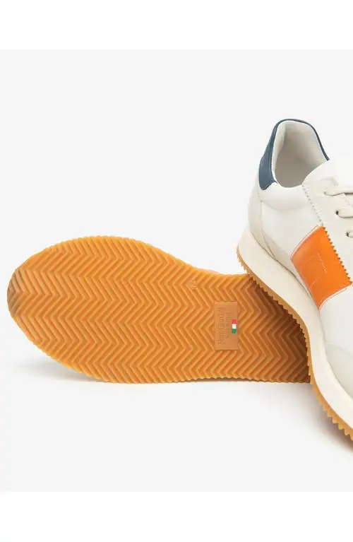 NEROGIARDINI Retro Low Top Sneaker