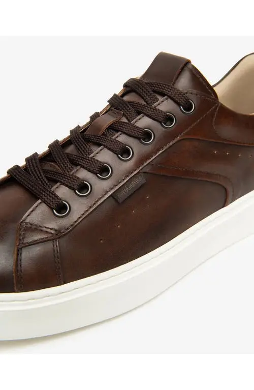 NEROGIARDINI Low Top Leather Lace-up Sneakers - Chocolate