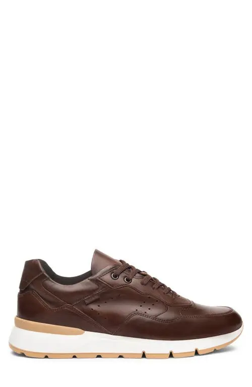 NEROGIARDINI Leather Low-top Sneaker - Chocolate
