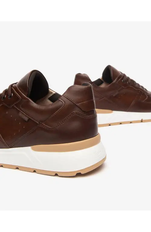 NEROGIARDINI Leather Low-top Sneaker - Chocolate