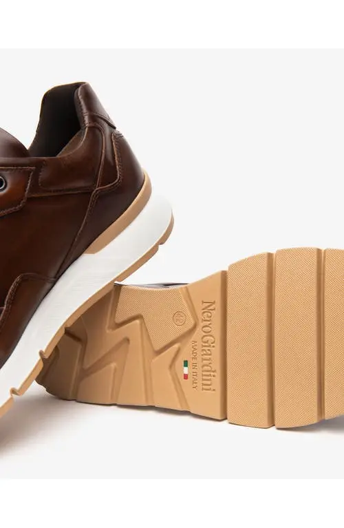 NEROGIARDINI Leather Low-top Sneaker - Chocolate