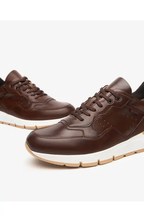 NEROGIARDINI Leather Low-top Sneaker - Chocolate