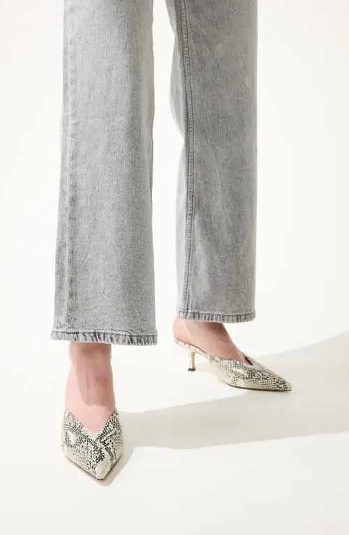 Yosi Samra Remi Pointed Toe Kitten Heel Mule