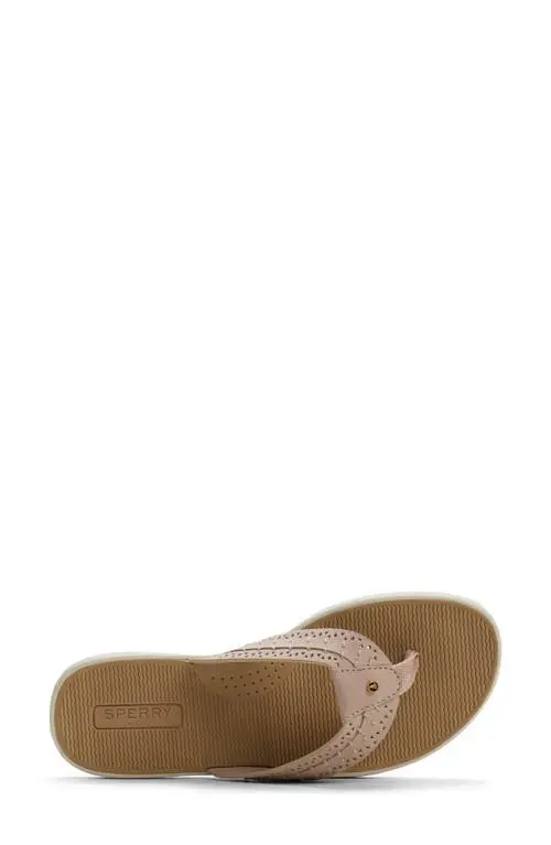 Sperry Seafish 3 Perforated Flip Flop - Light Pink