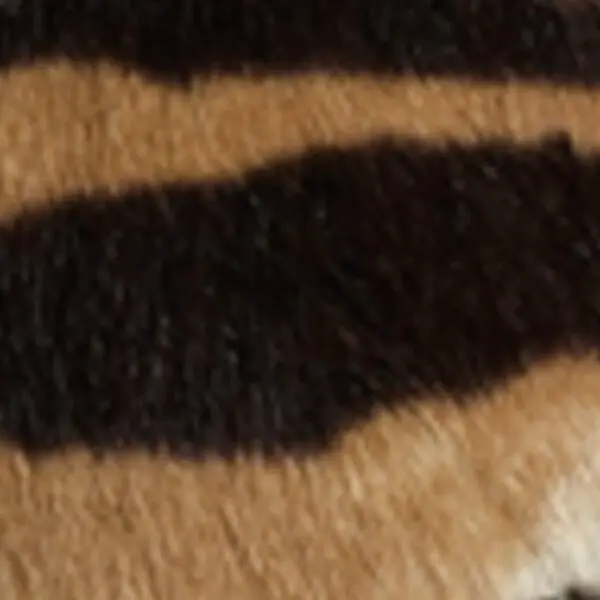 Alaïa Haircalf Animal Print D'orsay Pumps