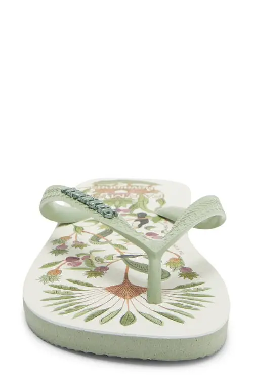 Havaianas Farm Sweet Forest Flip-flop - Smoke Green