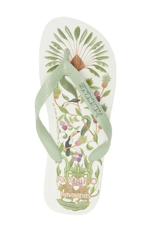 Havaianas Farm Sweet Forest Flip-flop - Smoke Green