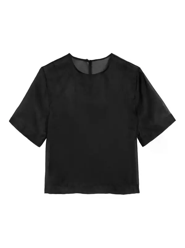 Ami Short-sleeves Sheer Top - Black
