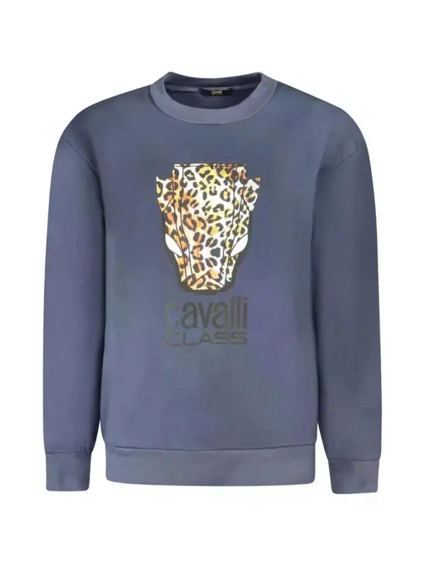 Roberto Cavalli Leopard-print Sweater - Blue