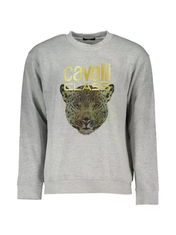 Roberto Cavalli Jaguar-print Sweatshirt - Grey