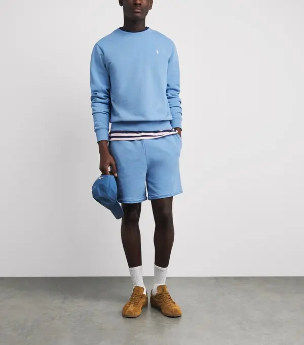 Polo Ralph Lauren Cotton Loopback Fleece Crewneck Sweatshirt - Blue