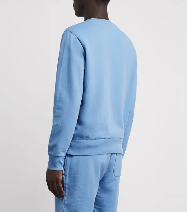 Polo Ralph Lauren Cotton Loopback Fleece Crewneck Sweatshirt - Blue