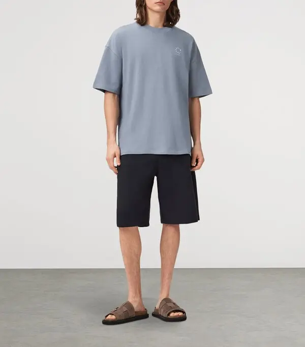 ALLSAINTS Organic Cotton Haven T-shirt - Blue