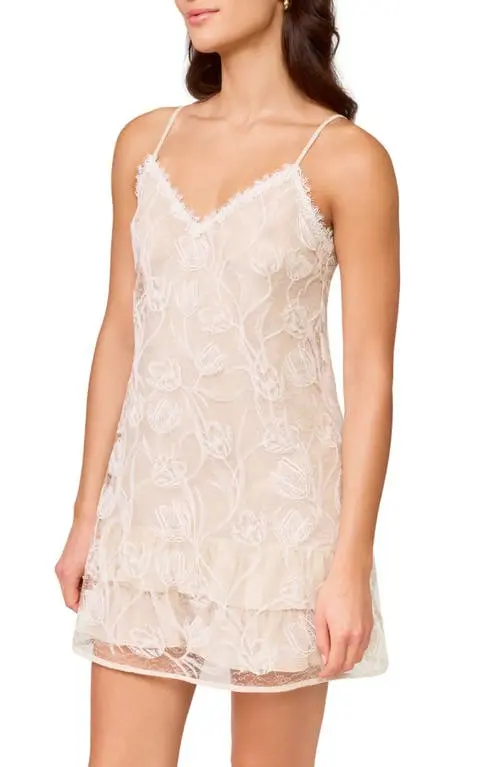 Rya Collection Holland Embroidered Chantilly Lace Chemise - Champagne
