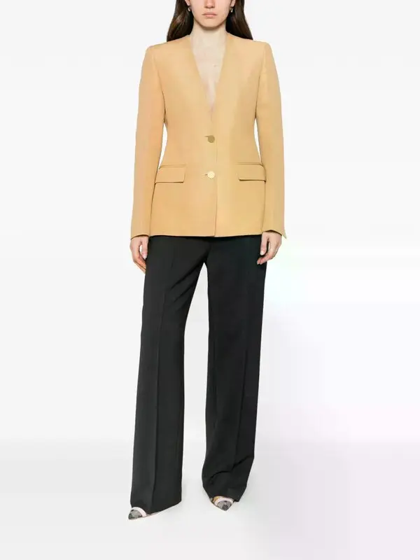 Alberta Ferretti Collarless Blazer