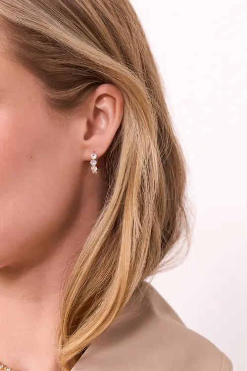 ELECTRIC PICKS Daphne Crystal Hoop Earrings