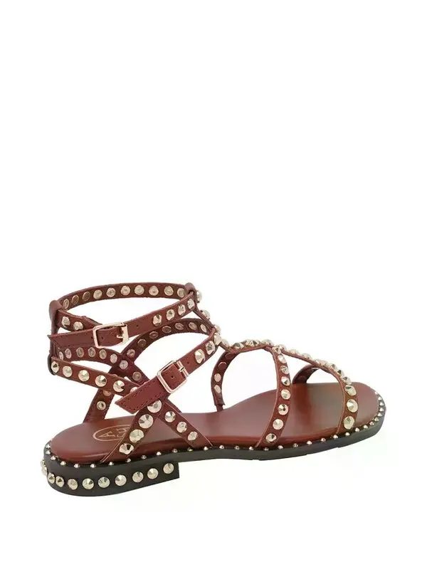 Ash Stud-embellished Sandals - Brown