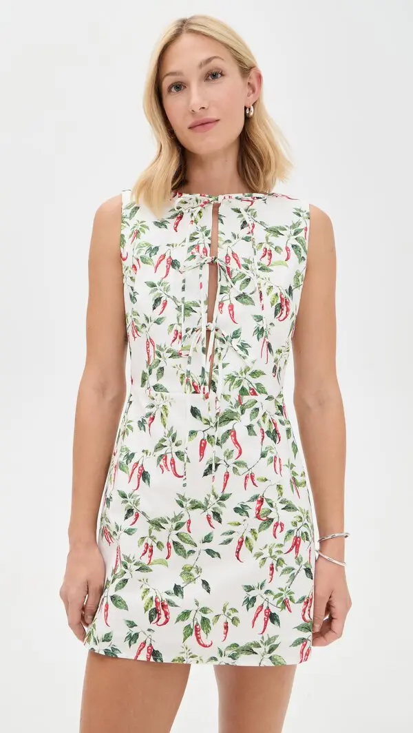 ANOTHER GIRL Chili Print Tie Front Mini Dress