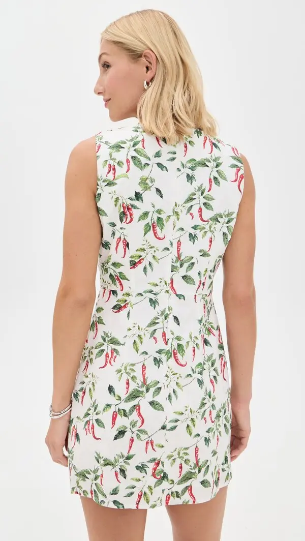 ANOTHER GIRL Chili Print Tie Front Mini Dress