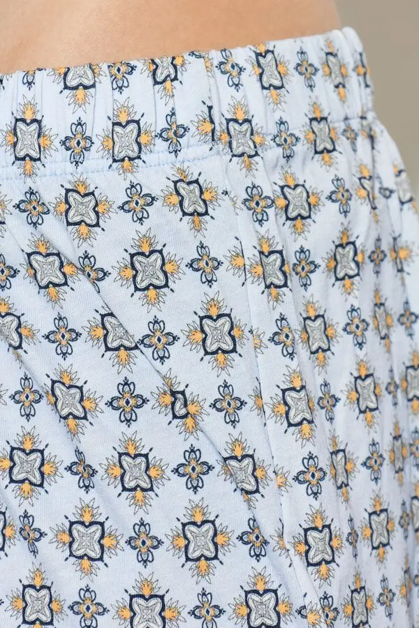 Hanro Boxers With Print - Blue
