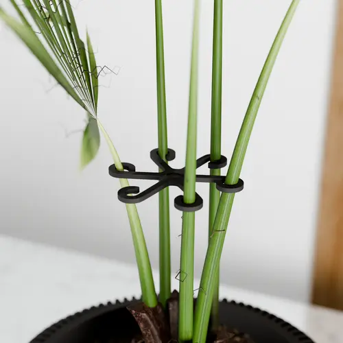 MODERNIZED POTTERY Climbing Plant Stem Support Stakes12 Pack - Black
