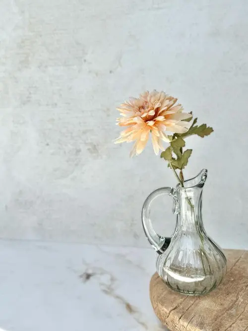 VILLA LUA HOME Handblown Glass Cruet