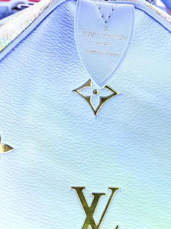 LOUIS VUITTON Speedy Handbag Limited Edition Jeff Koons Van Gogh Print Canvas 30