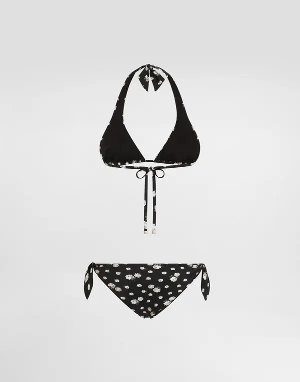 Dolce & Gabbana Rose-print Bikini - Multicolor