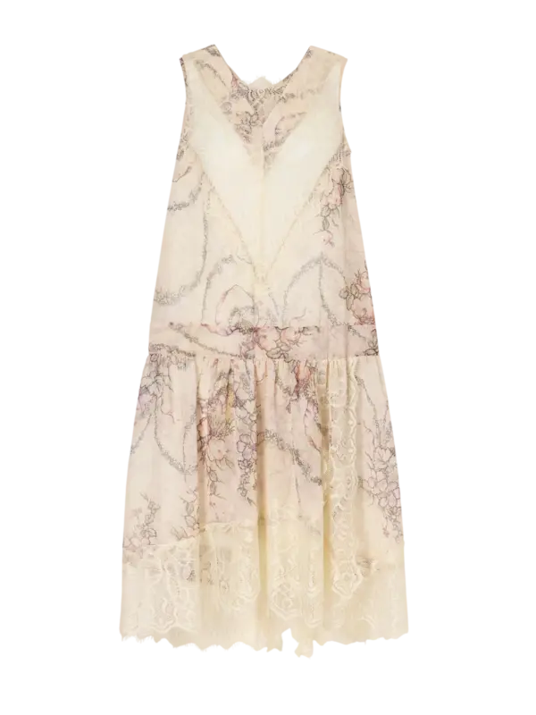 Anna Sui Floral-print Lace-trimmed Chiffon Midi Dress - Neutrals