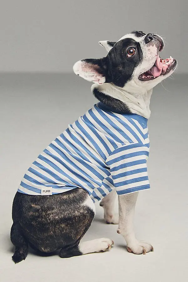 Anthropologie Striped Pet T-shirt - Blue Stripe