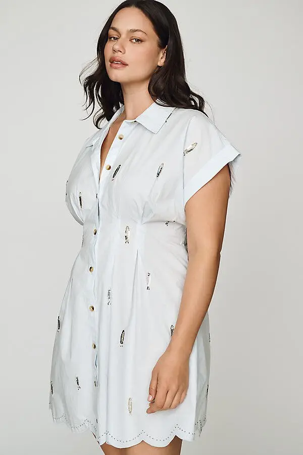Anthropologie Cotton Poplin Mini Shirtdress - Blue Pattern