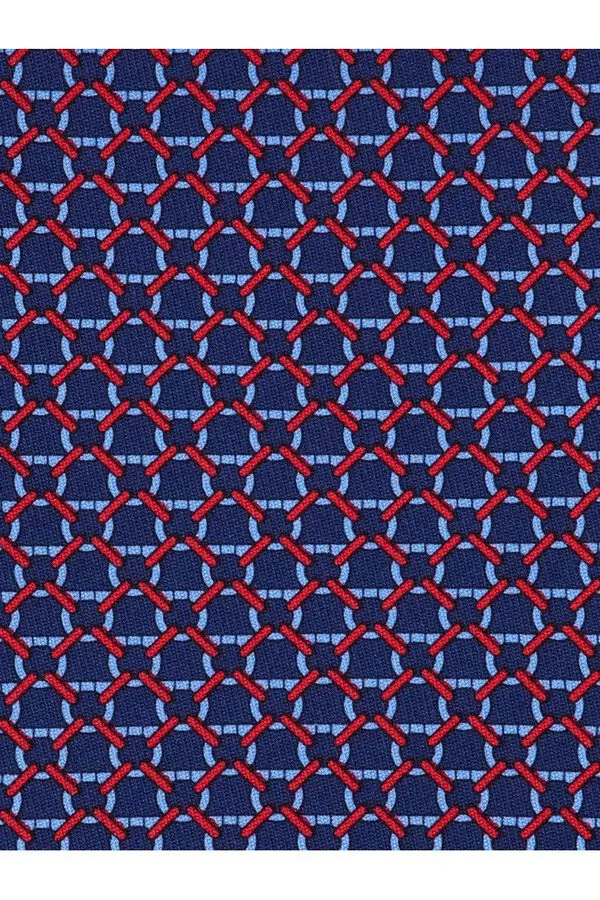 FERRAGAMO Printed Silk Tie