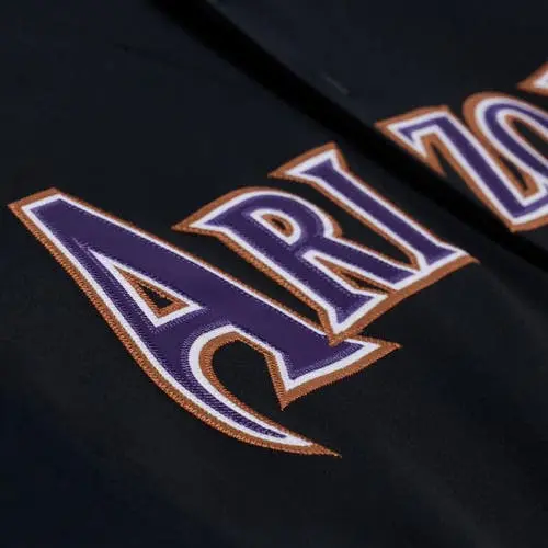 Mitchell & Ness Randy Johnson Arizona Diamondbacks 2001 Authentic Jersey