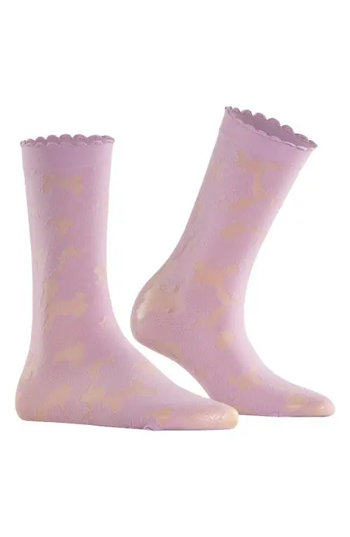 Falke Hydrangea 20 Denier Dress Socks - Misty Lilac