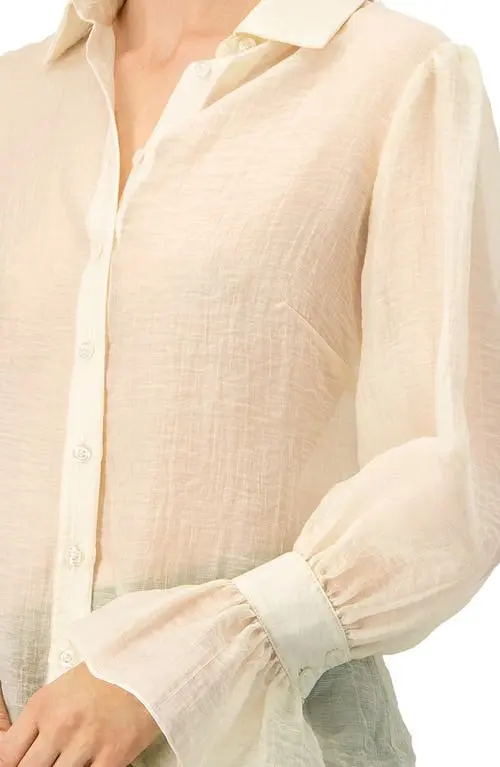 IVONNE See-through Long Sleeve Shirt With Cuffs