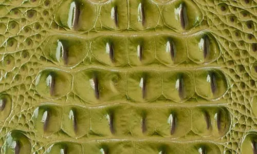 Brahmin Croc Embossed Leather Shoulder Bag - Olive