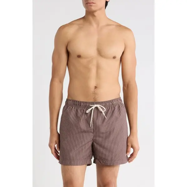 PACSUN Pinstriped Swim Trunks - Brown/tan