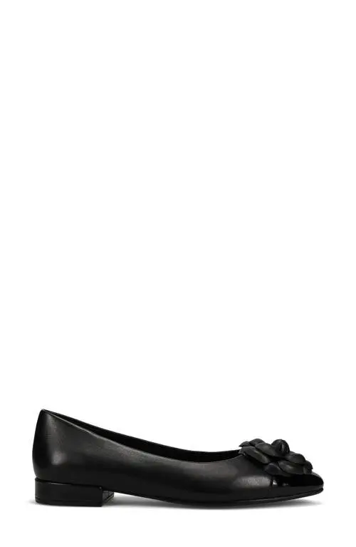 Vaneli Tasina Cap Toe Flat