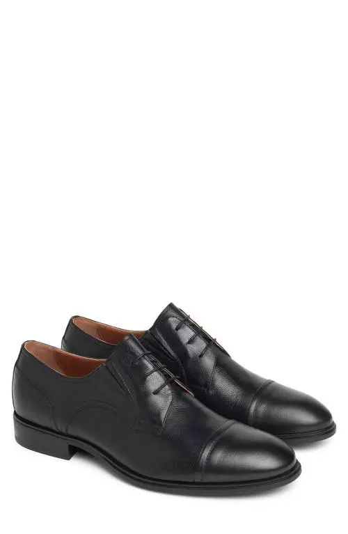 NEROGIARDINI Cap Toe Lace-up Oxford