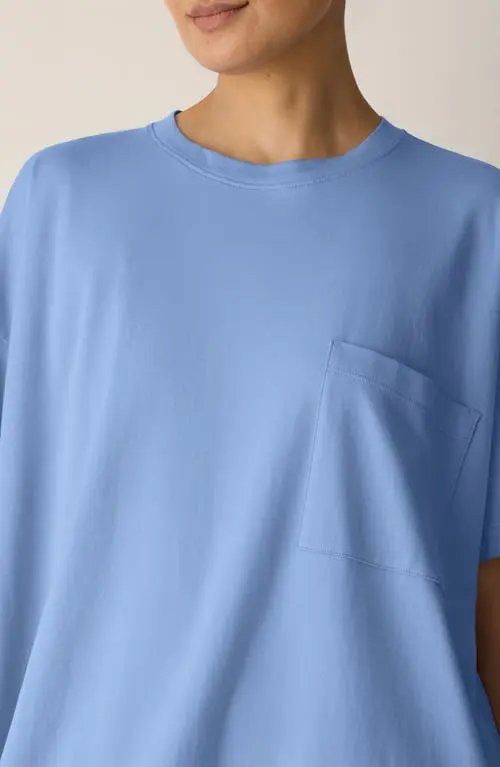 Eileen Fisher Crewneck Organic Cotton Sleep Shirt