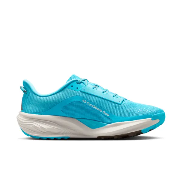 Nike Pegasus Trail Running Shoes - Blue