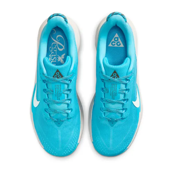 Nike Pegasus Trail Running Shoes - Blue