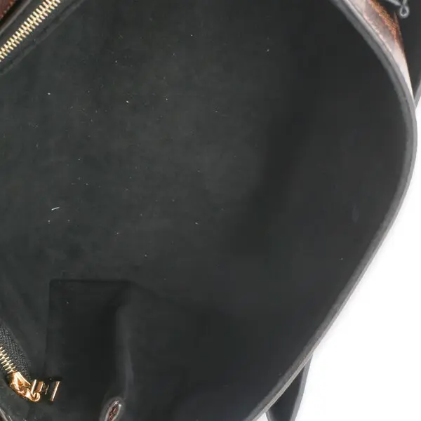 LOUIS VUITTON Damier Ebene Canvas Vavin Pm - Brown