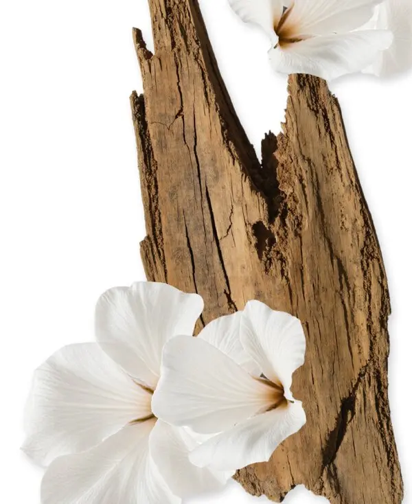 PARFUMS DE MARLY Valaya Hair Perfume - No Color