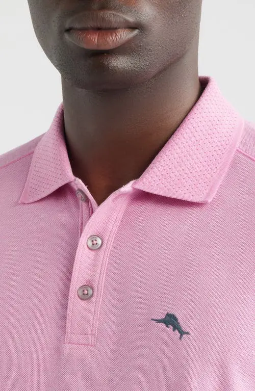 Tommy Bahama Emfielder Icon Solid Islandzone® Polo - Very Berry Heather