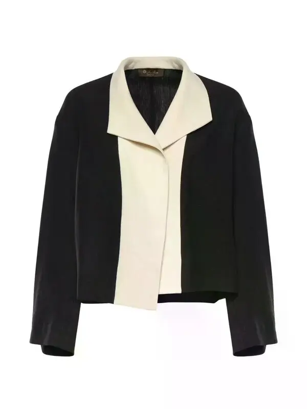 Loro Piana Contrast-panel Notched-lapel Jacket - Black