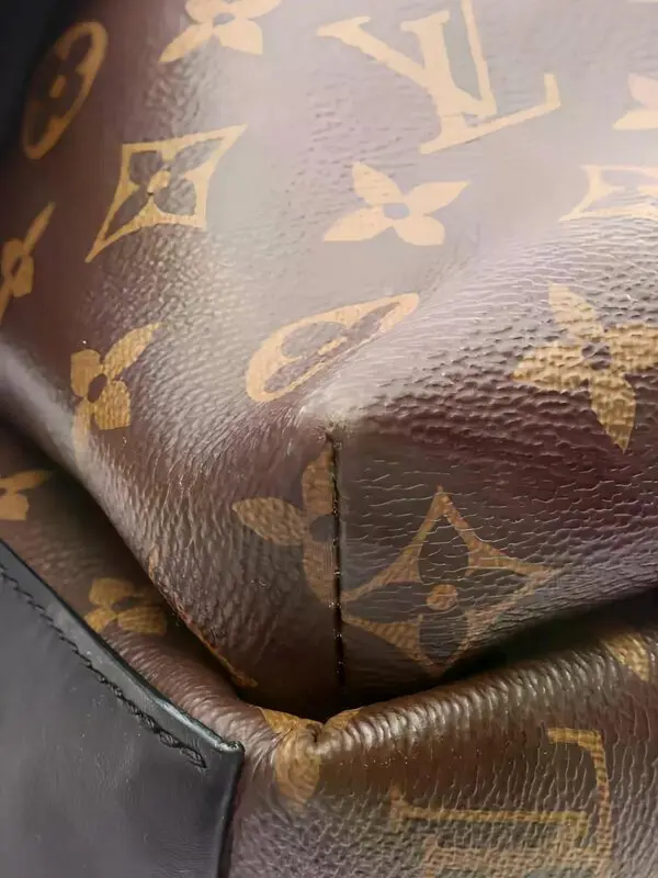 LOUIS VUITTON Pm Discovery Backpack