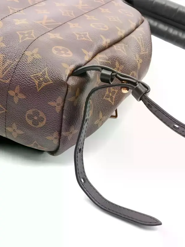 LOUIS VUITTON Palm Springs Monogram Backpack - Brown