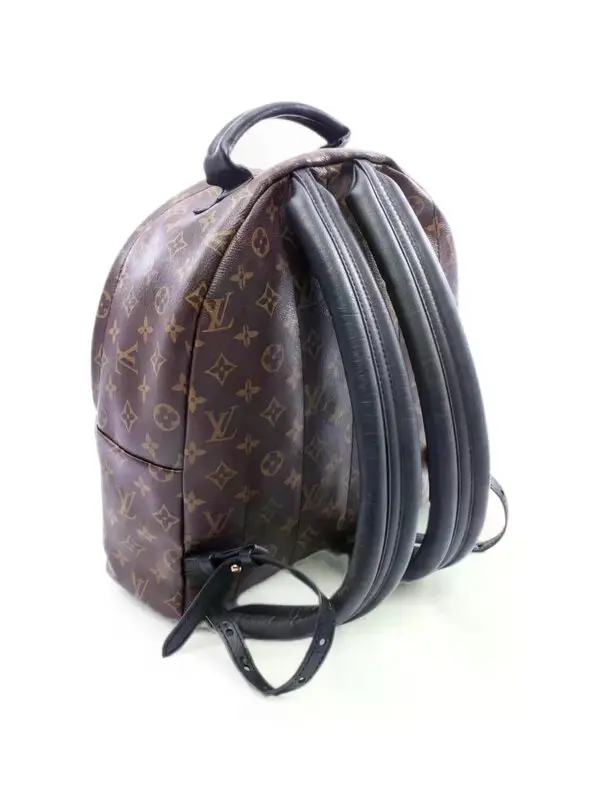 LOUIS VUITTON Monogram Palm Springs Backpack - Brown